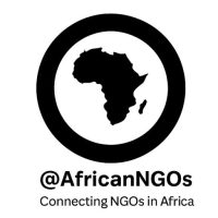 Current and expected future challenges facing NGOs in South Africa ...
